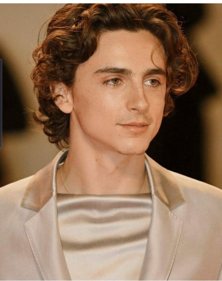 Timothée Chalamet - Stars of Today • The Flow • Movie Flow