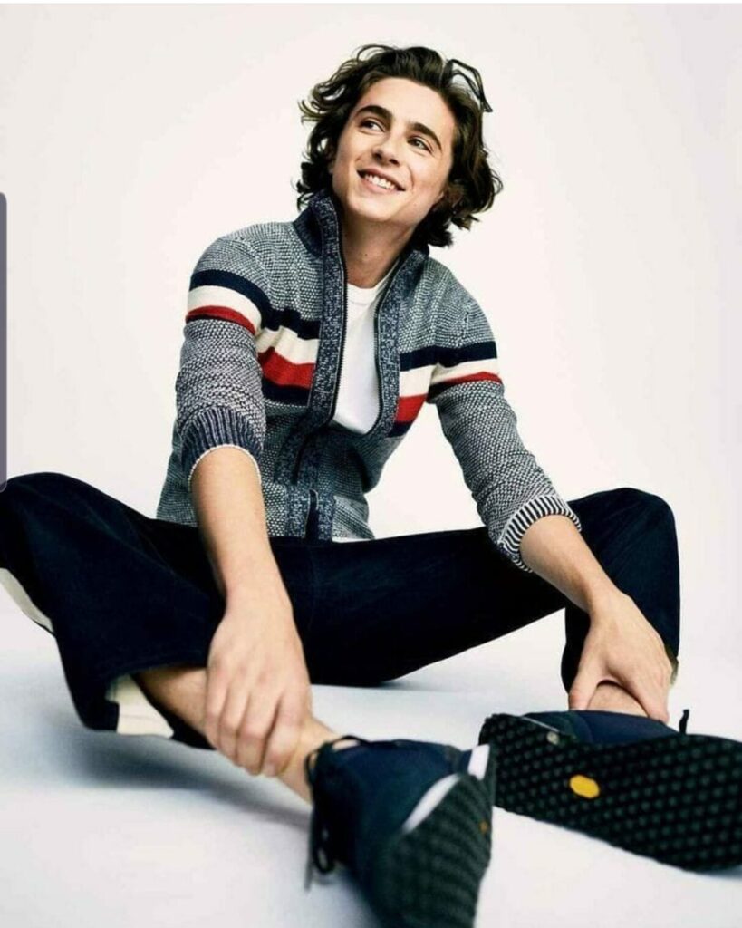 Timothée Chalamet - Stars of Today • The Flow • Movie Flow